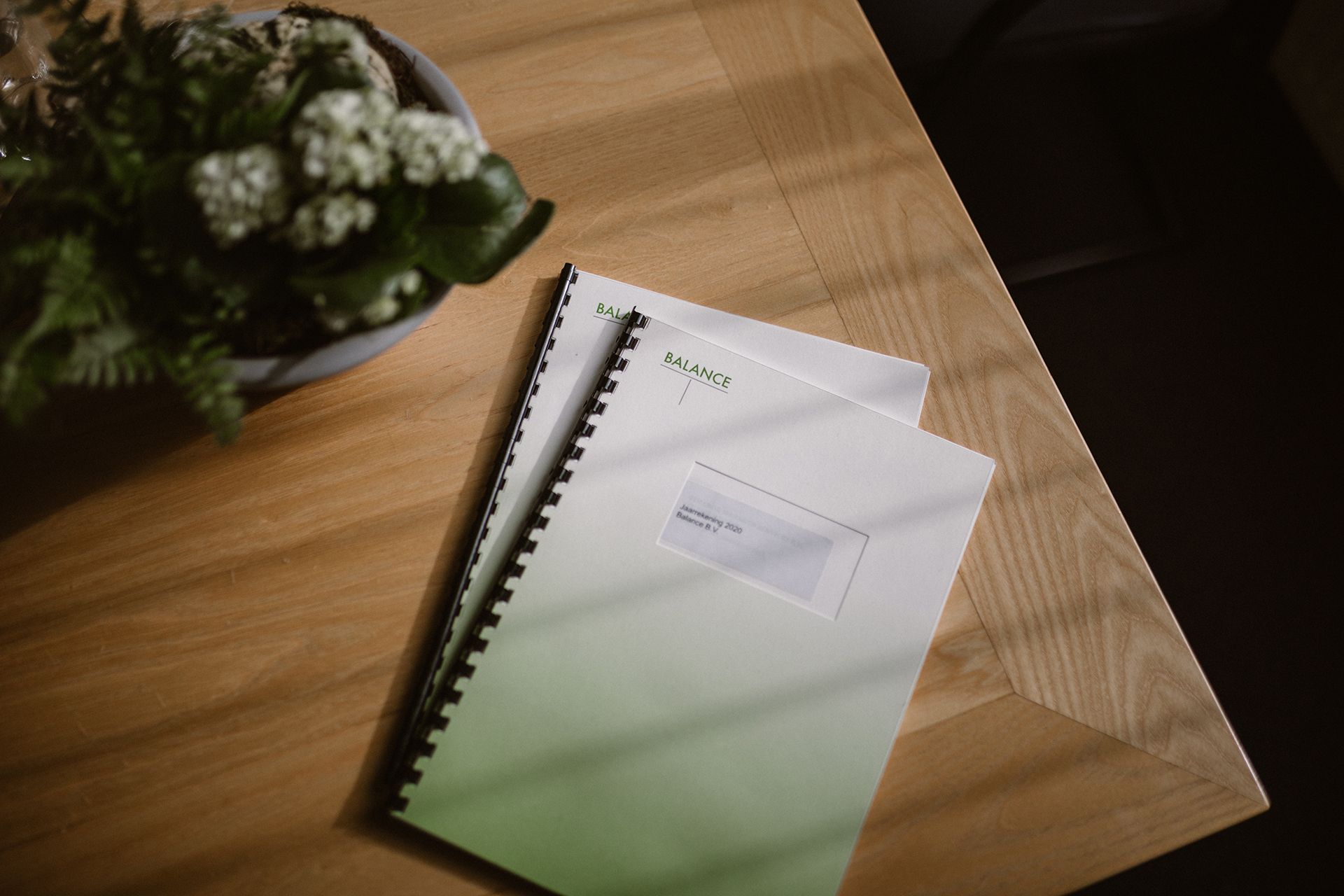 Diensten - Balance B.V.